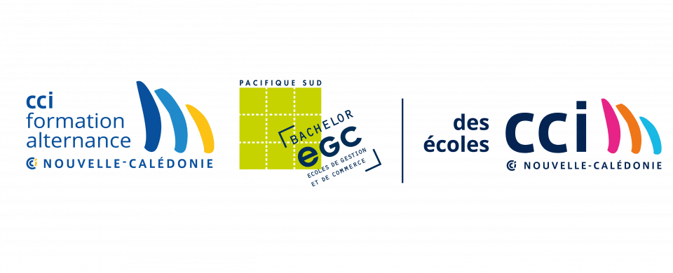 Alumni Business Network by CCI